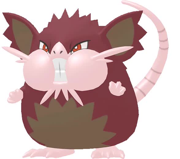 Archivo:Raticate de Alola HOME variocolor.webm - WikiDex, la ...