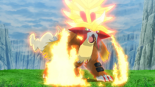 Llama Protectora - WikiDex, la enciclopedia Pokémon