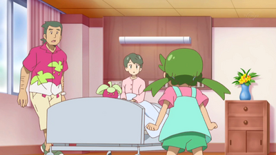 Mallow/Lulú - WikiDex, la enciclopedia Pokémon