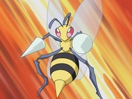 Beedrill de Jimmy - WikiDex, la enciclopedia Pokémon