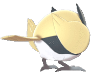 Rookidee - WikiDex, la enciclopedia Pokémon