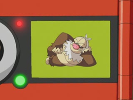 Slaking de Norman - WikiDex, la enciclopedia Pokémon