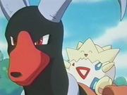 Togetic de Misty - WikiDex, la enciclopedia Pokémon