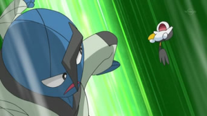 Sawk de Stephan - WikiDex, la enciclopedia Pokémon