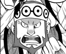 Civilizaciones Pokémon - WikiDex, la enciclopedia Pokémon