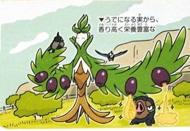 Arboliva - WikiDex, la enciclopedia Pokémon