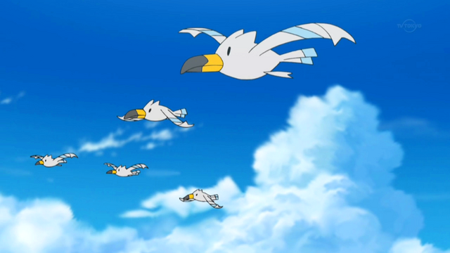 Archivo:EP1045 Wingull.png - WikiDex, la enciclopedia Pokémon