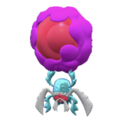 Categoría:Rabsca - WikiDex, la enciclopedia Pokémon