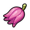 Baya Drasi - WikiDex, la enciclopedia Pokémon