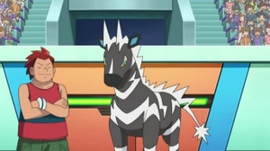 Zebstrika de Stephan - WikiDex, la enciclopedia Pokémon