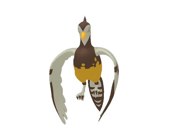 Archivo:Unfezant HOME variocolor hembra.webm - WikiDex, la enciclopedia Pokémon