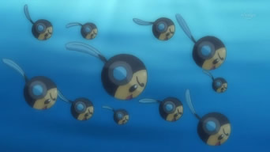 Categoría:Tympole - WikiDex, la enciclopedia Pokémon