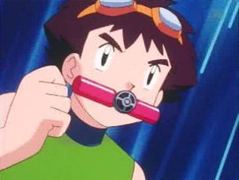 Gimnasio Costero/Gimnasio Litoral - WikiDex, la enciclopedia Pokémon