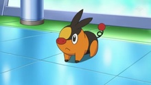 Tepig - WikiDex, la enciclopedia Pokémon