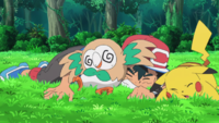 Rowlet de Ash - WikiDex, la enciclopedia Pokémon