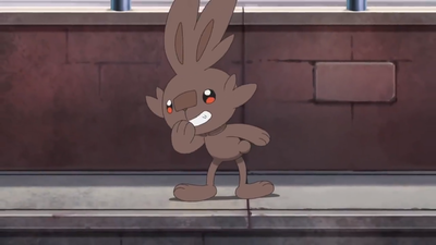 EP1093: ¡Conociendo a Scorbunny!/¡Enfrentando a Scorbunny! - WikiDex ...