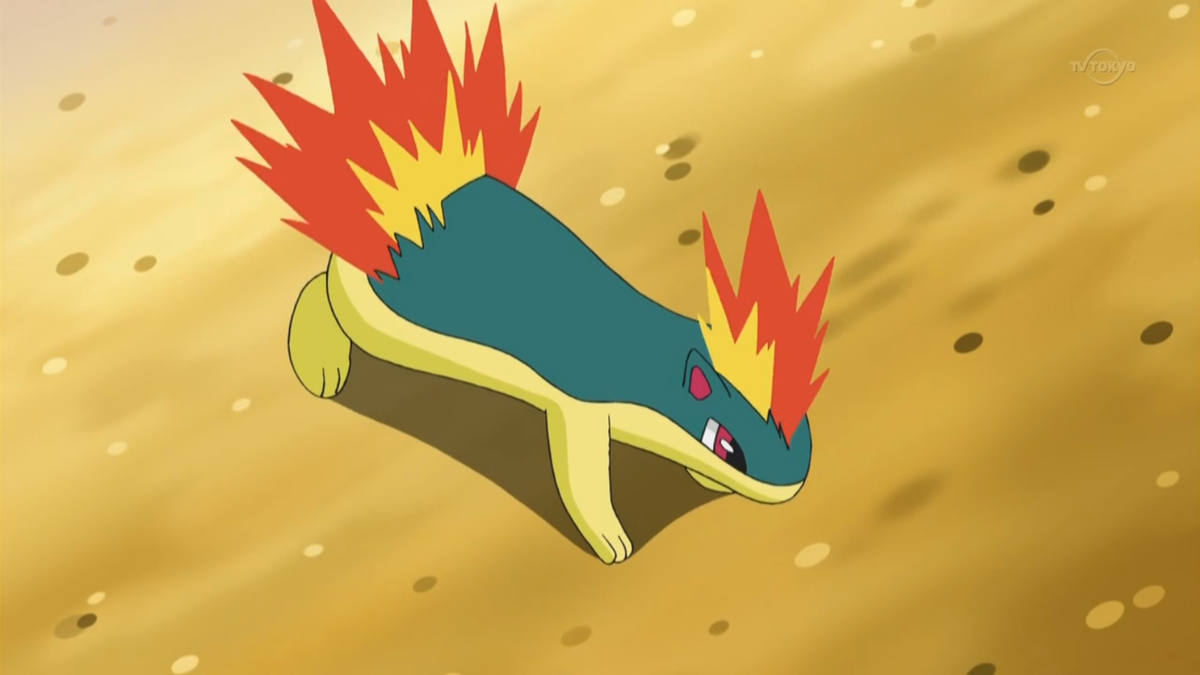 Quilava de Dawn/Maya - WikiDex, la enciclopedia Pokémon