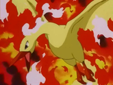 Moltres - WikiDex, la enciclopedia Pokémon