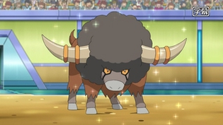 Alder/Mirto - WikiDex, la enciclopedia Pokémon