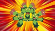 Maractus - WikiDex, la enciclopedia Pokémon