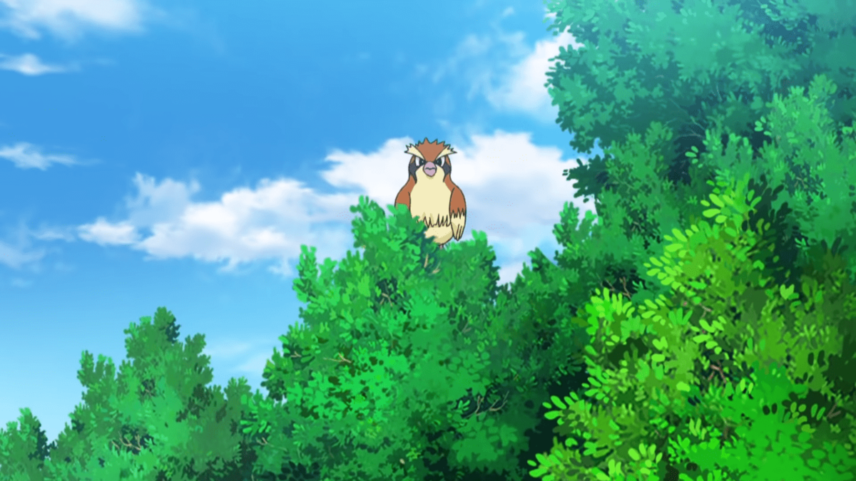 Archivo:EP1109 Pidgey.png - WikiDex, la enciclopedia Pokémon