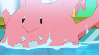 Tito (Hoenn) - WikiDex, la enciclopedia Pokémon