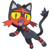Torracat - WikiDex, la enciclopedia Pokémon