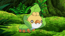 Sewaddle - WikiDex, la enciclopedia Pokémon