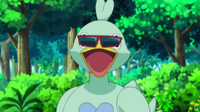 Trío de Ducklett - WikiDex, la enciclopedia Pokémon