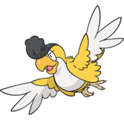 Categoría:Squawkabilly - WikiDex, la enciclopedia Pokémon