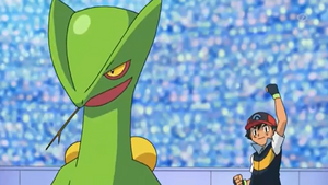 Sceptile de Ash - WikiDex, la enciclopedia Pokémon