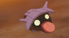 Shellder - WikiDex, la enciclopedia Pokémon
