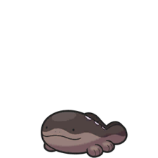 Clodsire - WikiDex, la enciclopedia Pokémon