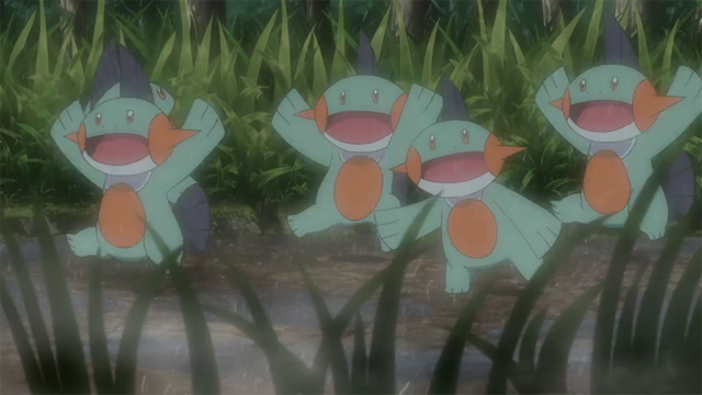 Archivo:EP1130 Marshtomp felices.png - WikiDex, la enciclopedia Pokémon