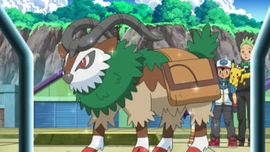 Categoría:Pokémon de Alexa/Alexia - WikiDex, la enciclopedia Pokémon