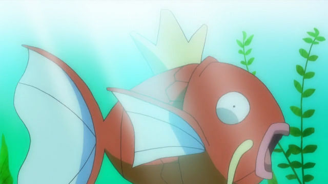 Archivo:EP1014 Magikarp.png - WikiDex, la enciclopedia Pokémon