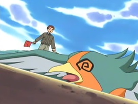 Categoría:Pokémon de Winona/Alana - WikiDex, la enciclopedia Pokémon