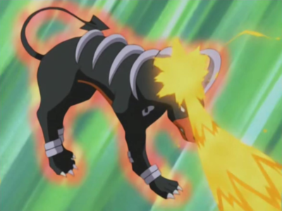 Houndoom de Harrison - WikiDex, la enciclopedia Pokémon