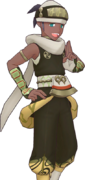 Roy - WikiDex, la enciclopedia Pokémon
