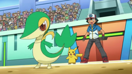 Snivy de Ash - WikiDex, la enciclopedia Pokémon