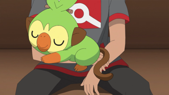 Grookey de Goh - WikiDex, la enciclopedia Pokémon