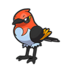 Fletchinder - WikiDex, la enciclopedia Pokémon