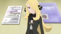 Cynthia/Cintia - WikiDex, la enciclopedia Pokémon