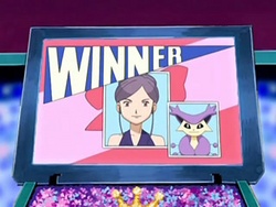 Concurso Pokémon de Pueblo Celestic/Concurso Pokémon de Pueblo ...