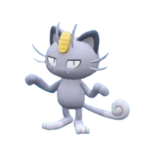 Meowth de Alola - WikiDex, la enciclopedia Pokémon