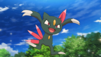 Sneasel - WikiDex, la enciclopedia Pokémon