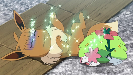 Shaymin (anime) - WikiDex, la enciclopedia Pokémon