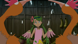 Baya Látano/Baya Latano - WikiDex, la enciclopedia Pokémon