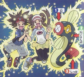 Eelektrik - WikiDex, la enciclopedia Pokémon