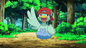 Trío de Ducklett - WikiDex, la enciclopedia Pokémon